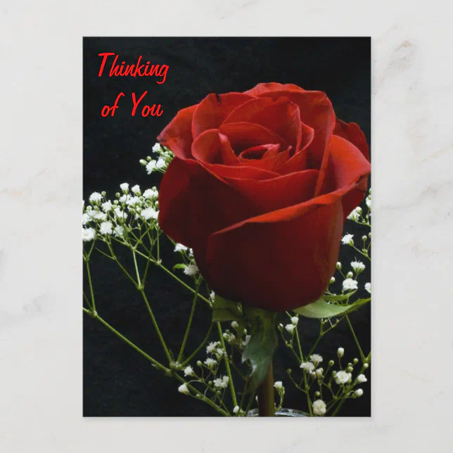Red Rose Verticle Postcard | Zazzle