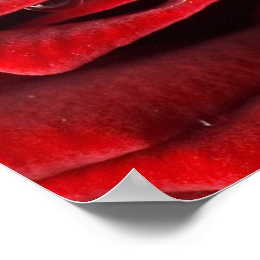 Red Rose Wedding Seating Table Plan Poster | Zazzle