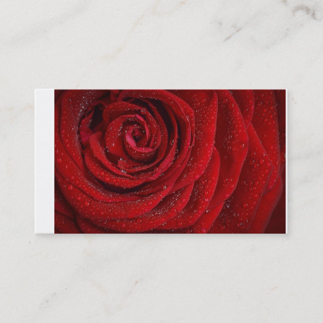 Red Roses Business Cards | Zazzle