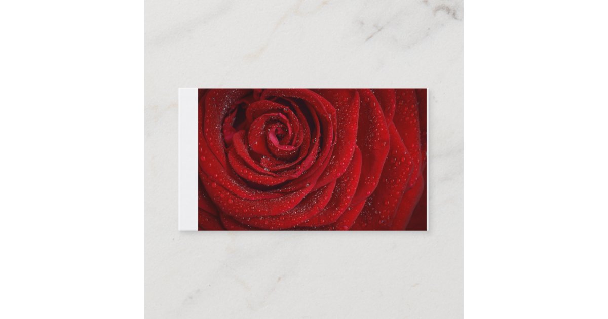 Red Roses Business Cards | Zazzle