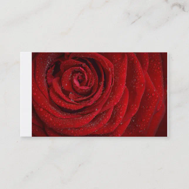 Red Roses Business Cards | Zazzle