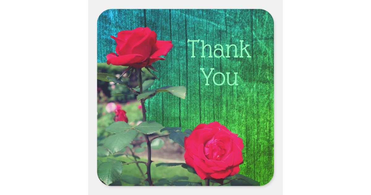 Red Roses Flower Thank You Square Sticker | Zazzle