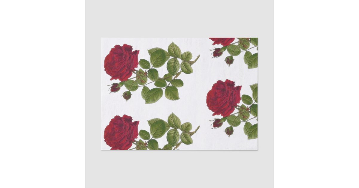 Red Roses Garden Tissue Paper 10"x15" | Zazzle