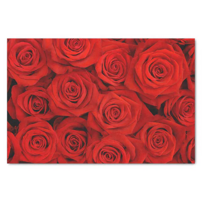 Red Roses Tissue Paper | Zazzle