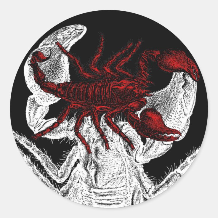 Red Scorpion - Sticker | Zazzle