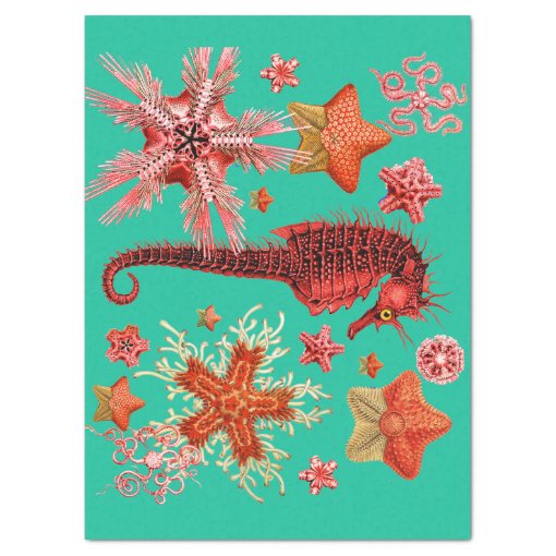 RED SEAHORSE AND SEASTARS IN AQUA BLUE Sea Life Tissue Paper | Zazzle
