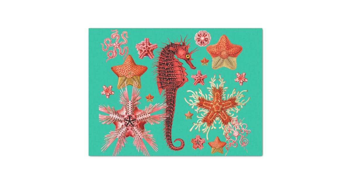 RED SEAHORSE AND SEASTARS IN AQUA BLUE Sea Life Tissue Paper | Zazzle