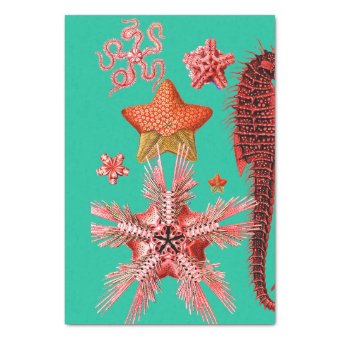RED SEAHORSE AND SEASTARS IN AQUA BLUE Sea Life Tissue Paper | Zazzle