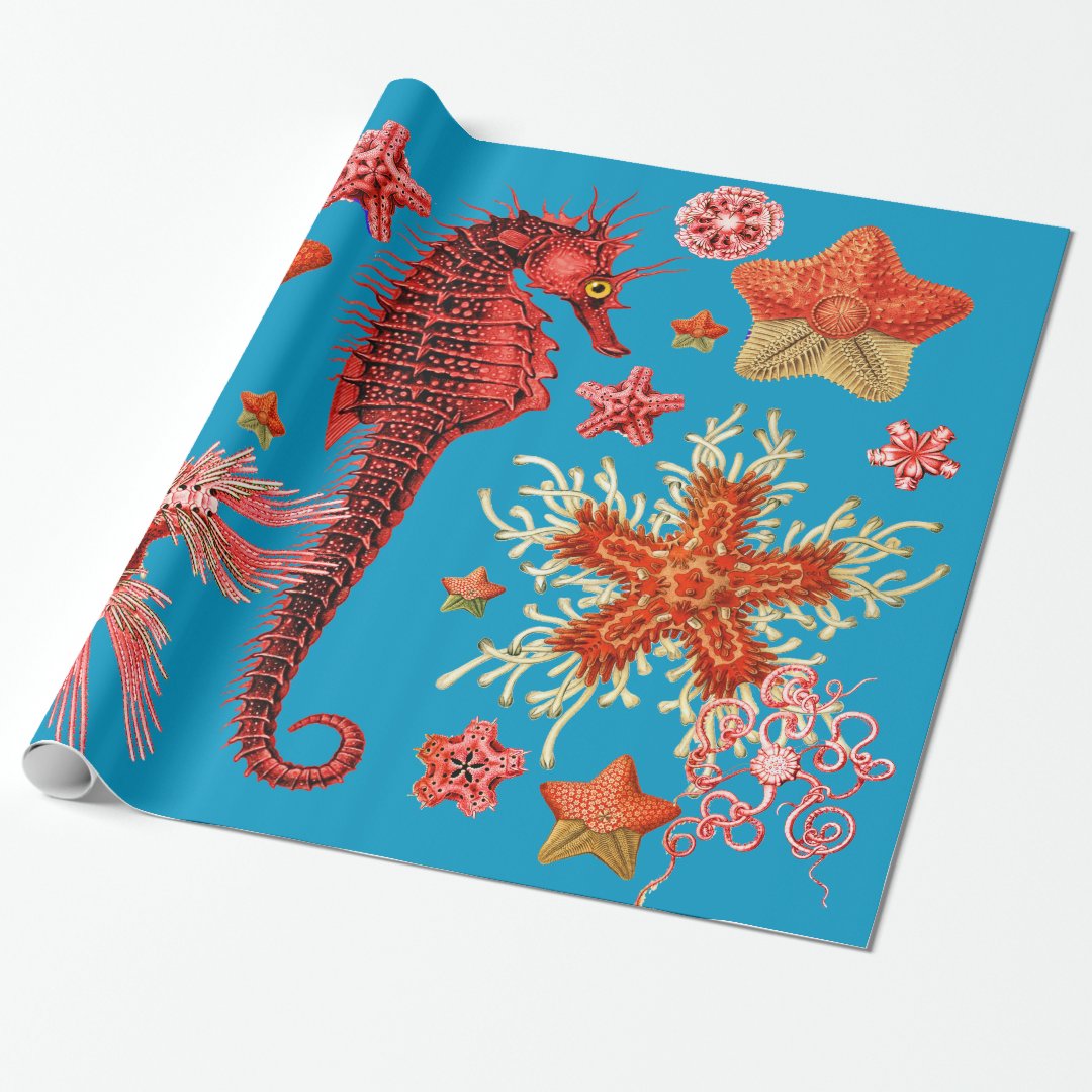 RED SEAHORSE AND SEASTARS IN AQUA BLUE Sea Life Wrapping Paper | Zazzle