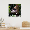 Red Shanked Douc Langur Monkey Poster | Zazzle