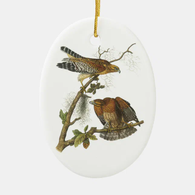 Red-shouldered Hawk by Audubon Ceramic Ornament | Zazzle