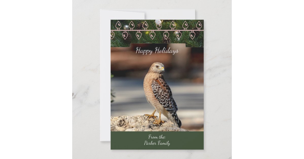 Red-Shouldered Hawk Christmas Card | Zazzle