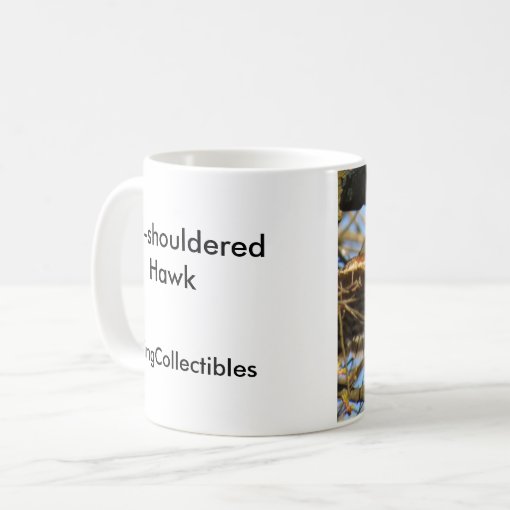Red-shouldered Hawk Coffee Mug | Zazzle