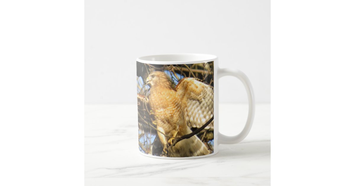 Red-shouldered Hawk Coffee Mug | Zazzle