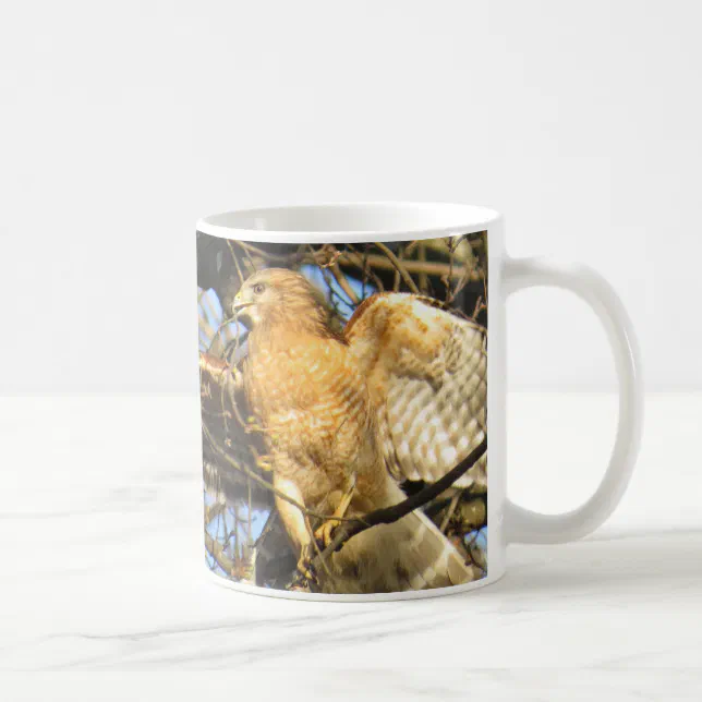 Red-shouldered Hawk Coffee Mug | Zazzle