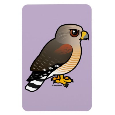 Cute Red-shouldered Hawk by Birdorable