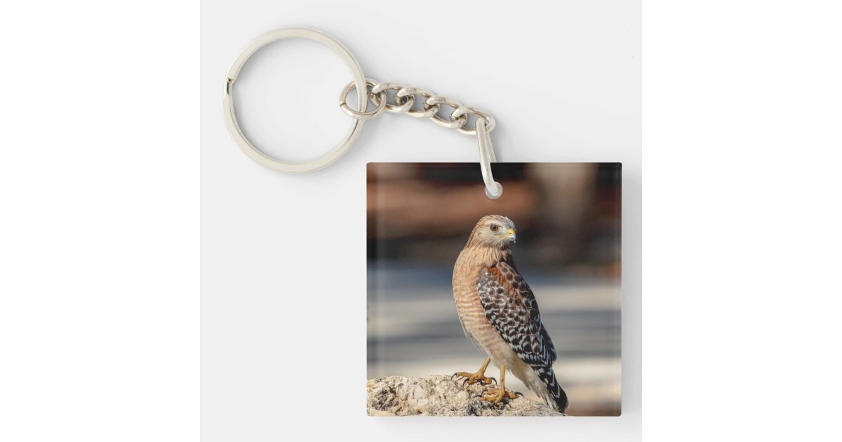 Red Shouldered Hawk on a rock Keychain | Zazzle
