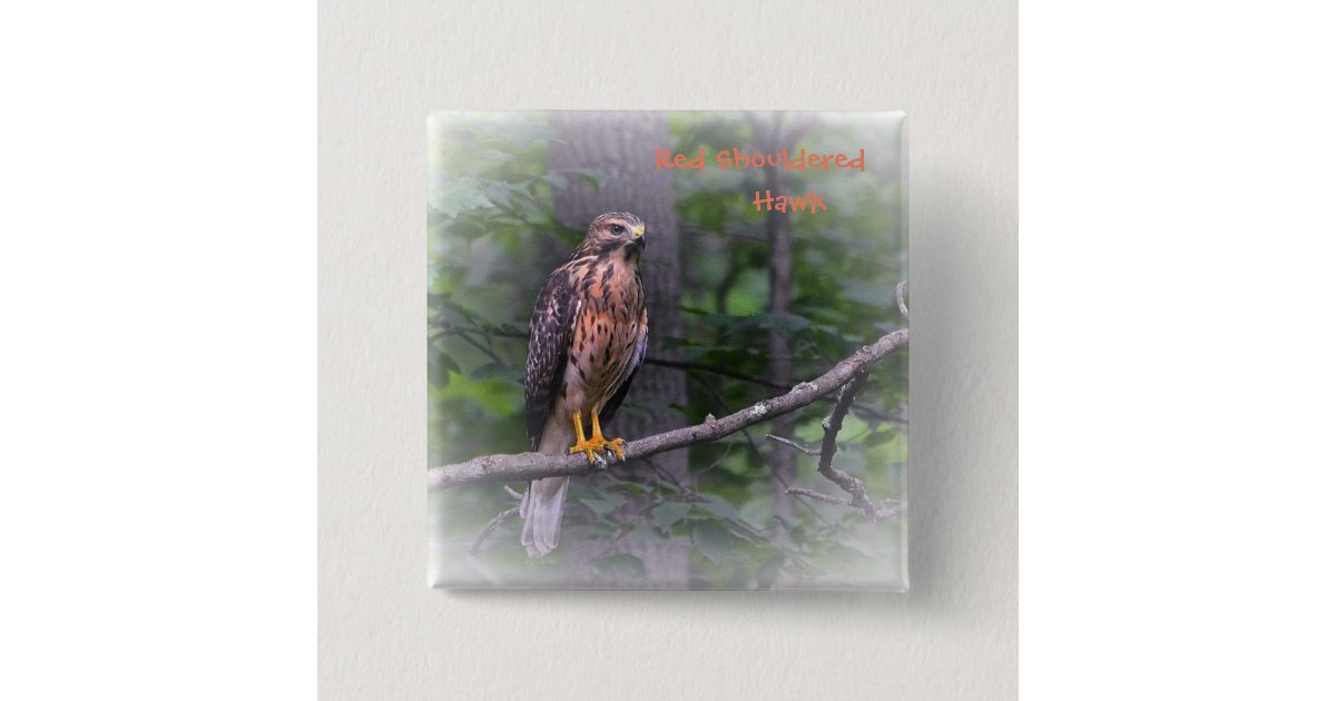 Red Shouldered Hawk Pinback Button | Zazzle