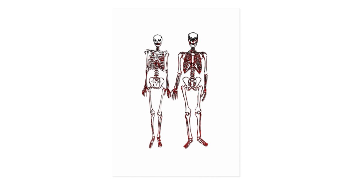 Red Skeleton Couple Postcard | Zazzle.com