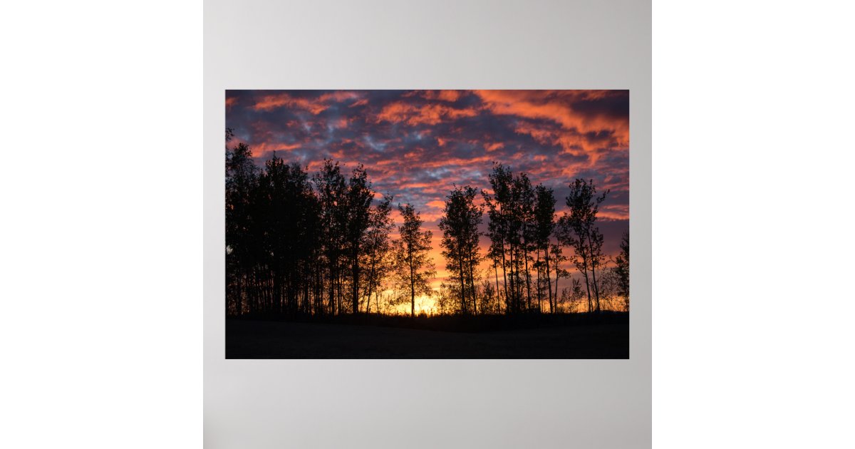 Red Sky at Night Poster | Zazzle.com