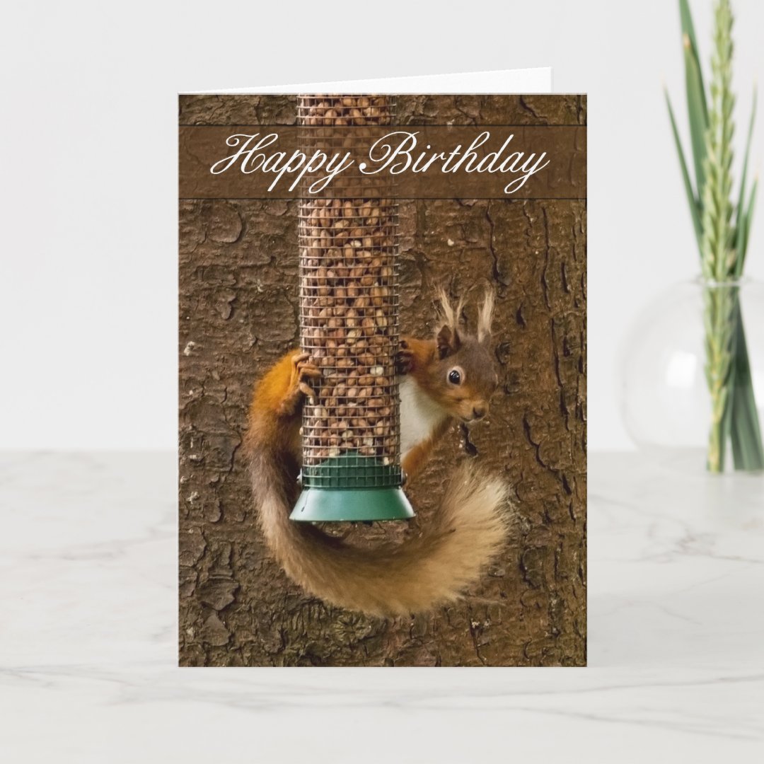 Red Squirrel Birthday Card | Zazzle