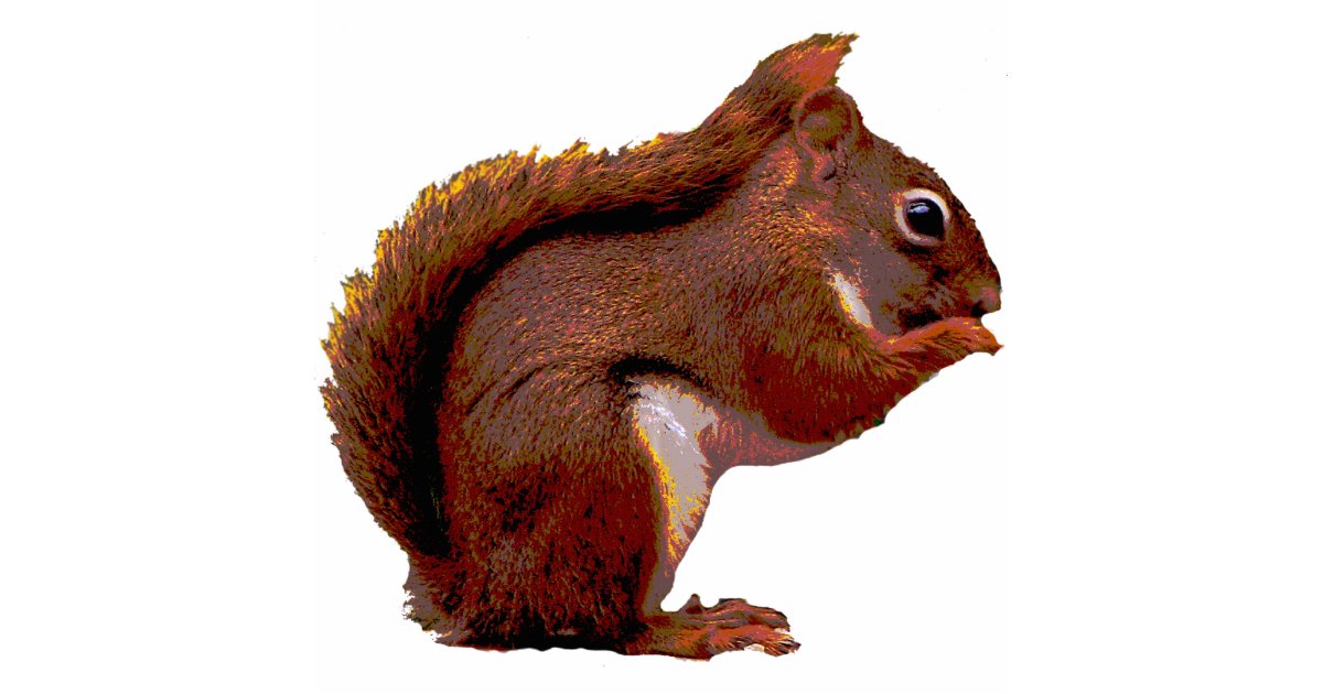 Red Squirrel Christmas Hanging Acrylic Cutout | Zazzle