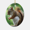 Red Squirrel Christmas Ornament | Zazzle