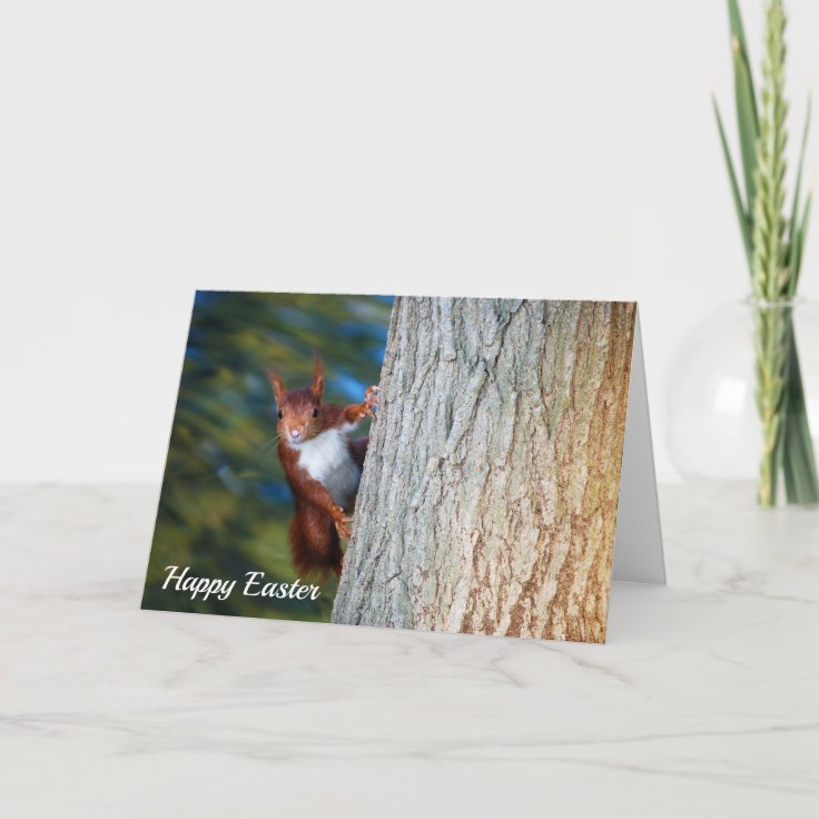 Red Squirrel on Tree, Happy Easter Card | Zazzle