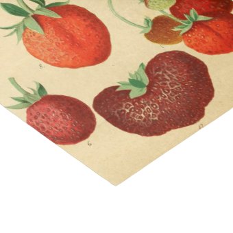 Red Strawberry Ephemera Decoupage Tissue Paper | Zazzle