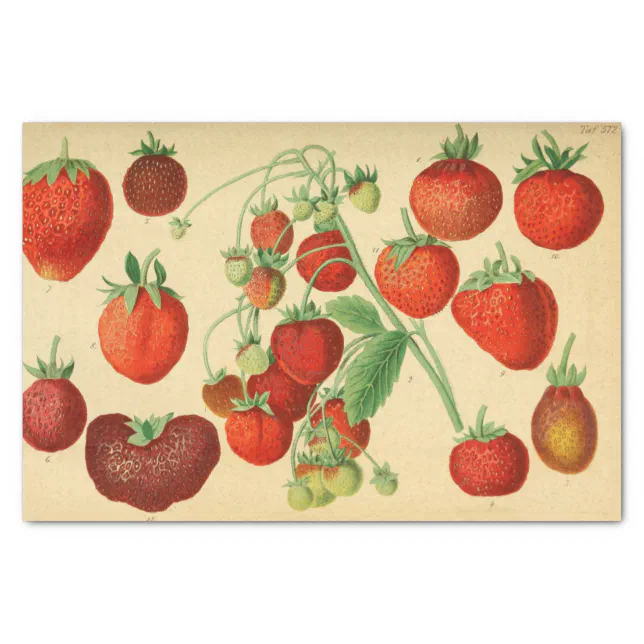 Red Strawberry Ephemera Decoupage Tissue Paper | Zazzle