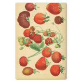 Red Strawberry Ephemera Decoupage Tissue Paper | Zazzle