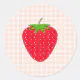 Red Strawberry on Gingham Check. Classic Round Sticker | Zazzle