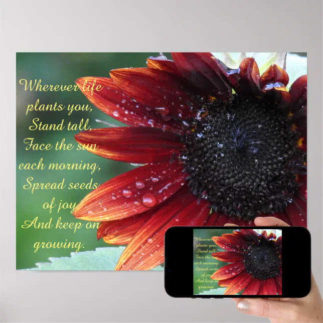 Red Sunflower, Inspirational Advice Poster | Zazzle
