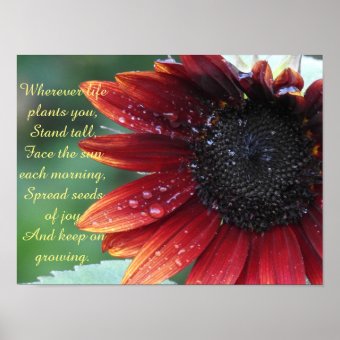Red Sunflower, Inspirational Advice Poster | Zazzle