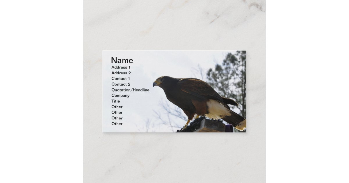 Red Tailed Hawk Against a Blue Sky Business Sky Business Card | Zazzle