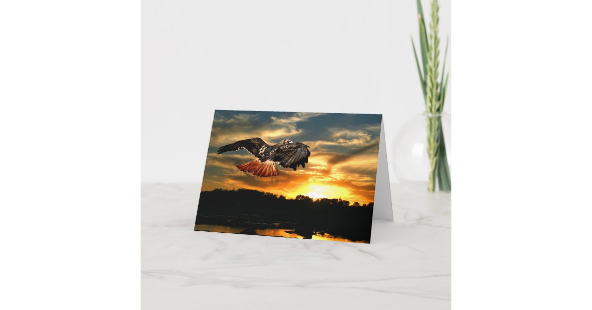 Red tailed hawk at sunset card | Zazzle