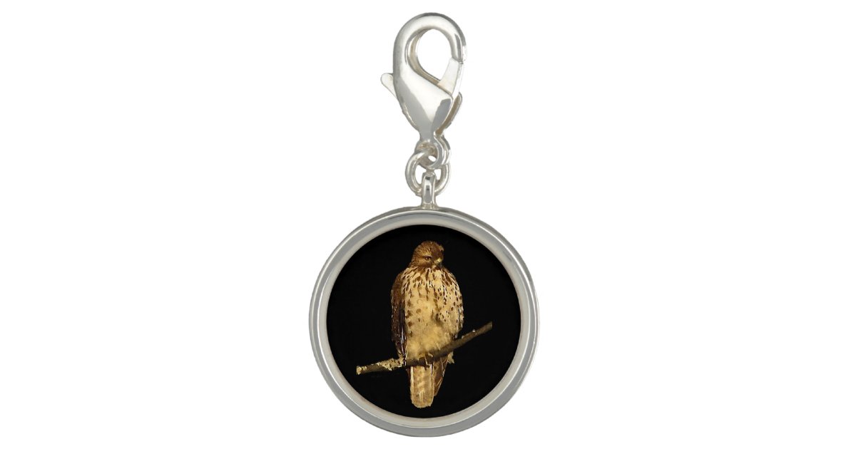 Red Tailed Hawk Charm | Zazzle