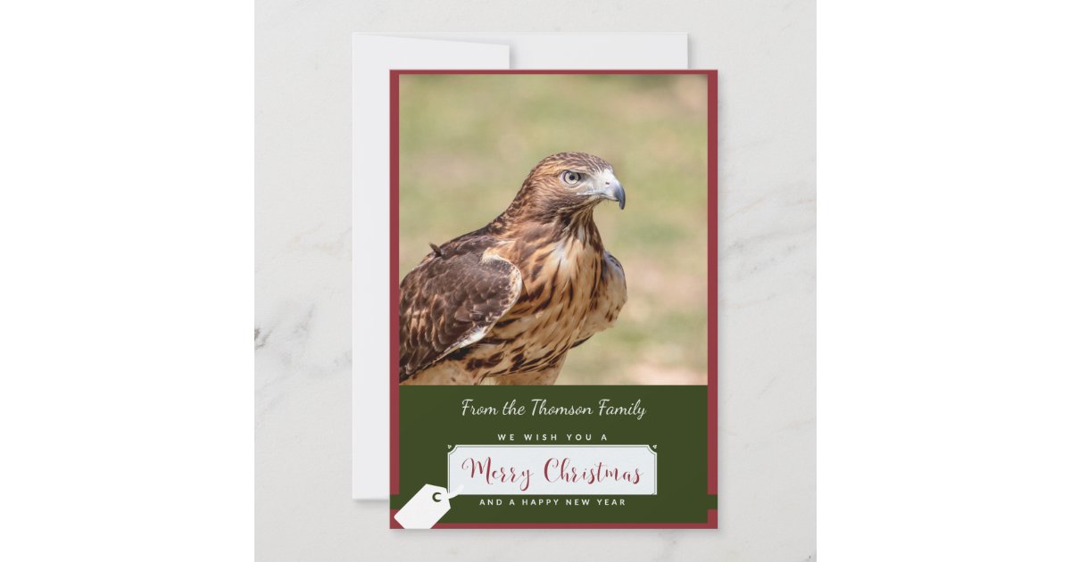 Red-Tailed Hawk Christmas Card | Zazzle