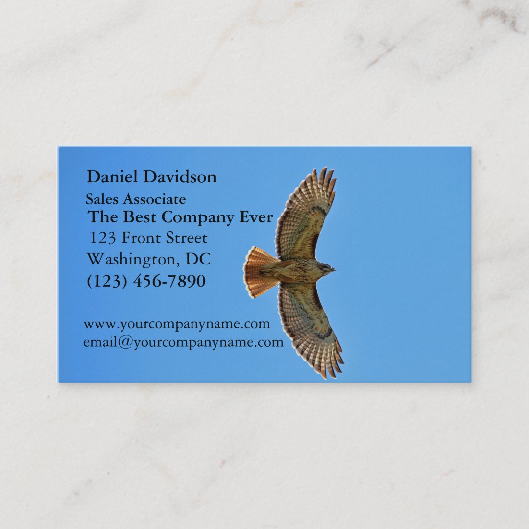 Red-Tailed Hawk in Flight Business Card | Zazzle