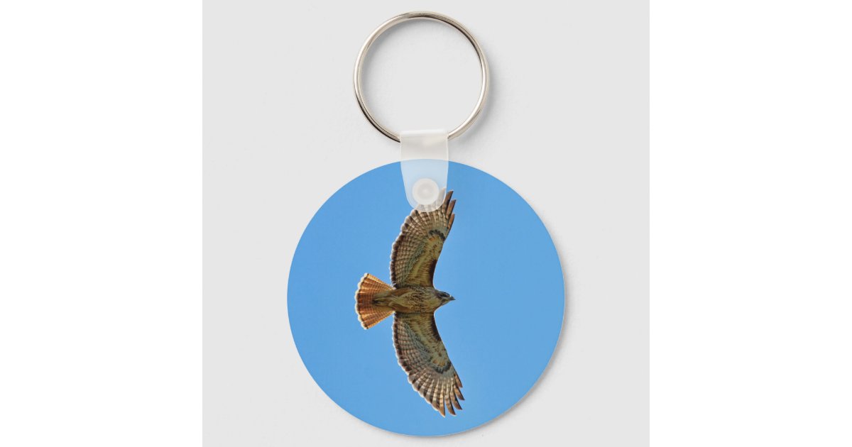 Red-Tailed Hawk in Flight Keychain | Zazzle