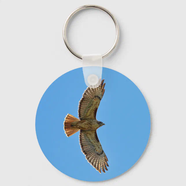 Red-Tailed Hawk in Flight Keychain | Zazzle
