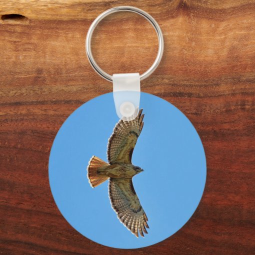 Red-Tailed Hawk in Flight Keychain | Zazzle
