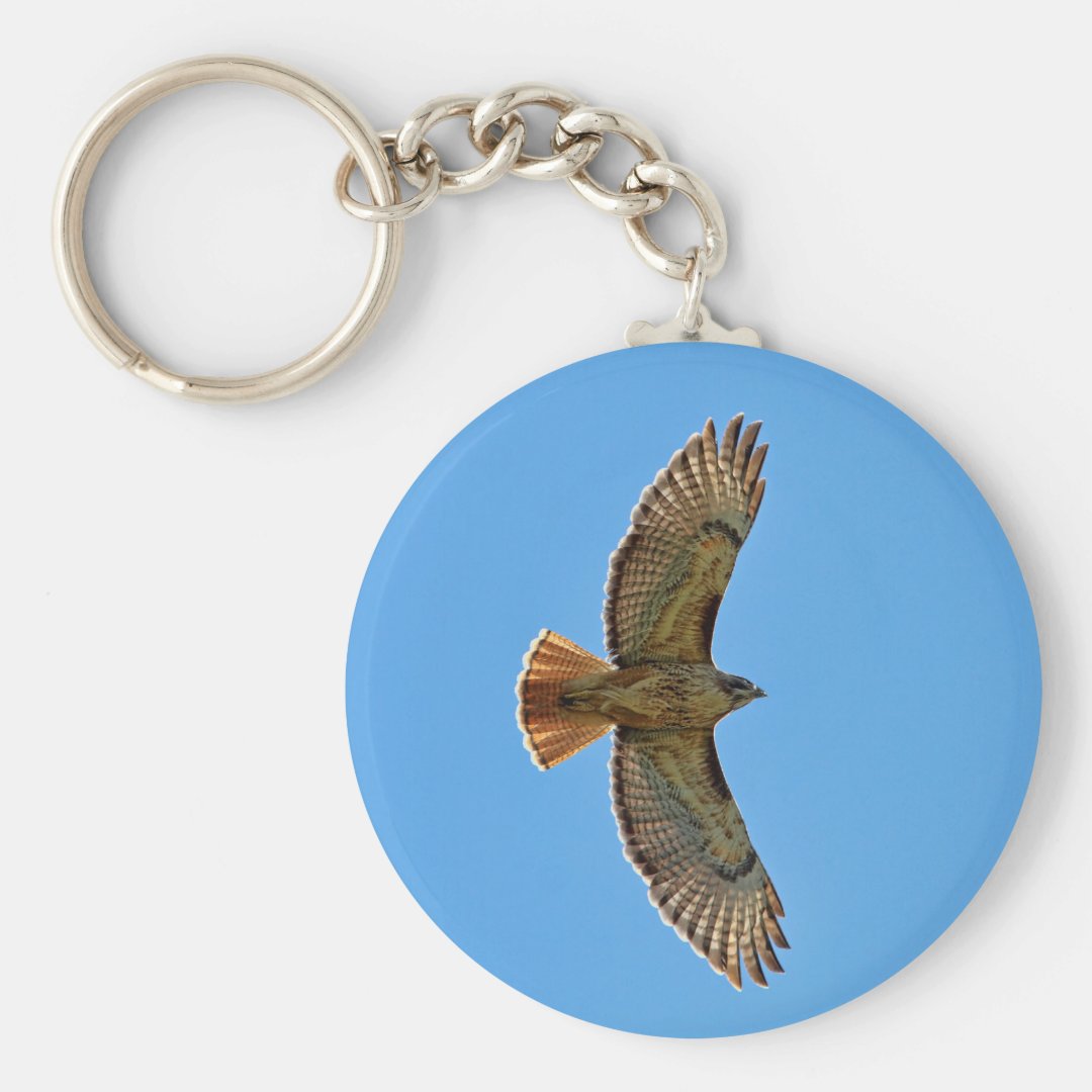 Red-Tailed Hawk in Flight Keychain | Zazzle