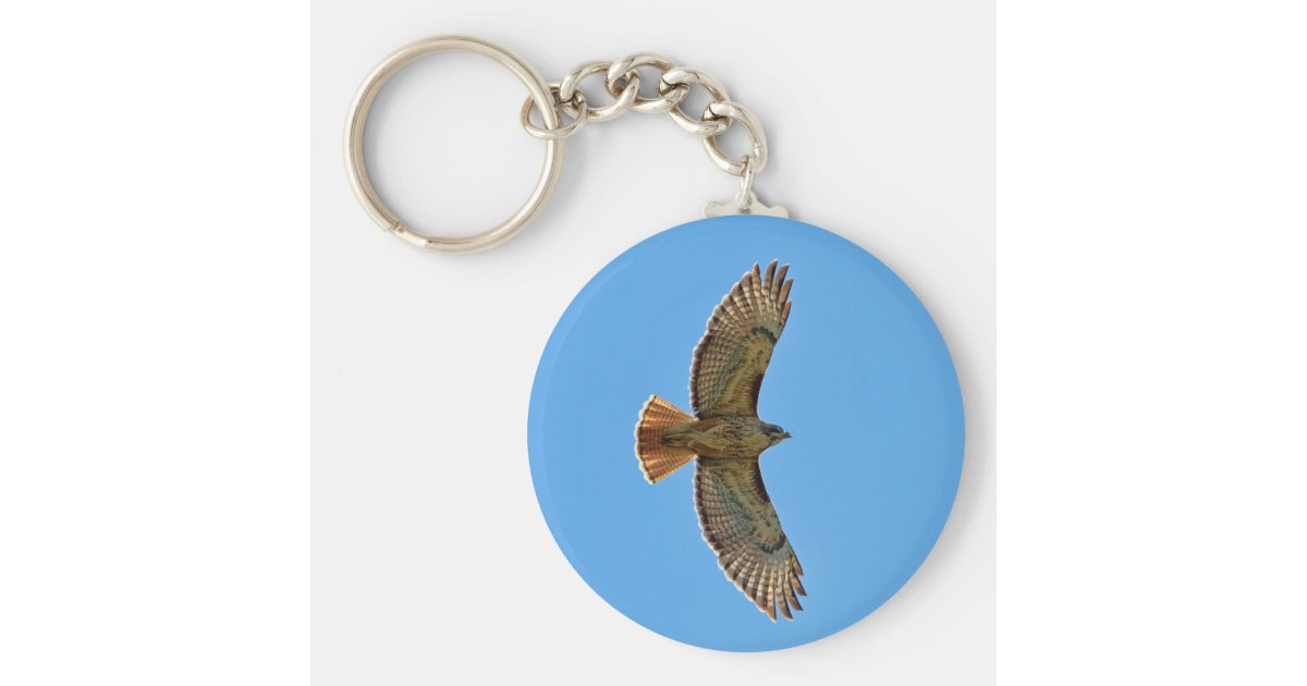Red-Tailed Hawk in Flight Keychain | Zazzle