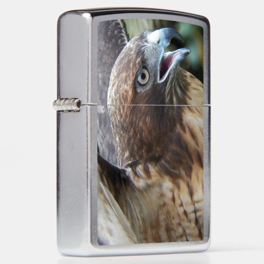 Red-tailed Hawk Raptor Photo Zippo Lighter | Zazzle.com