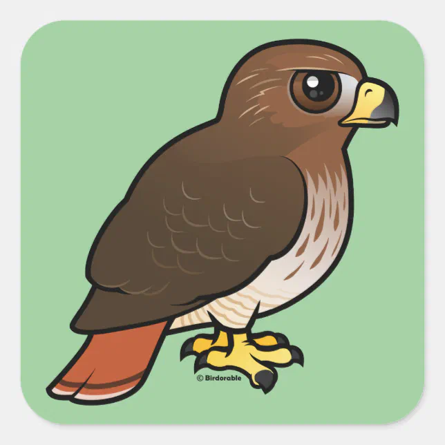 Red-tailed Hawk Square Sticker | Zazzle