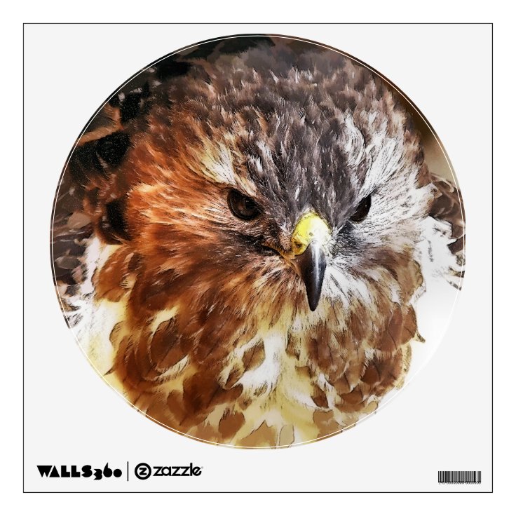 RED TAILED HAWK WALL STICKER | Zazzle