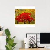Red Tree Poster | Zazzle