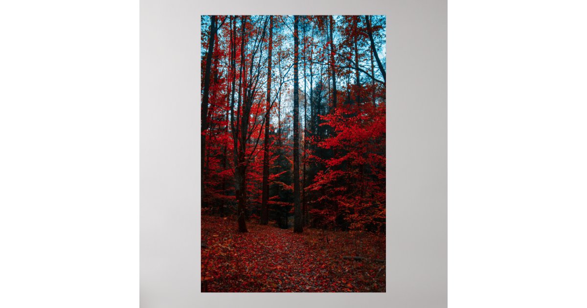 Red Trees Forest Poster | Zazzle