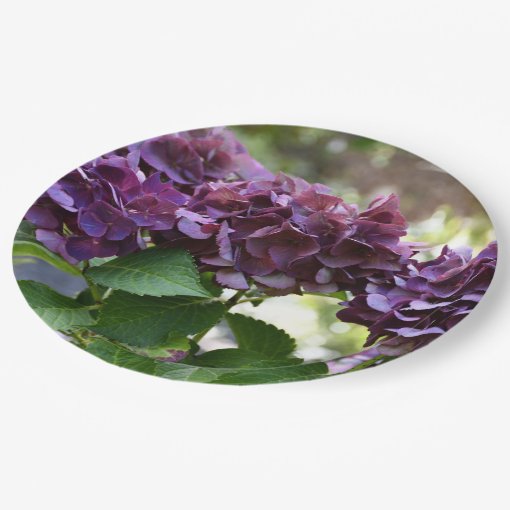 Red Violet Hydrangea Blooms Floral Paper Plates | Zazzle